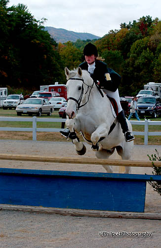 Equestrian Gallery