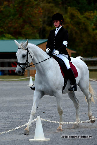 Equestrian Gallery