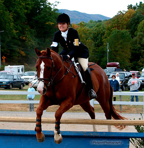Equestrian Gallery