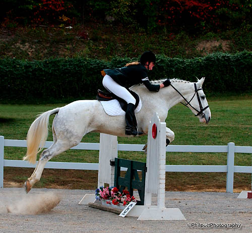 Equestrian Gallery