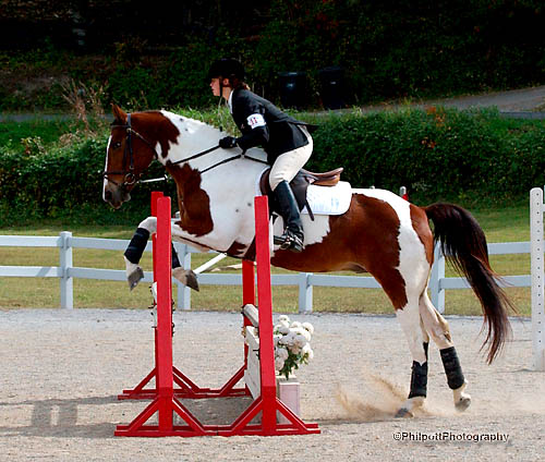 Equestrian Gallery